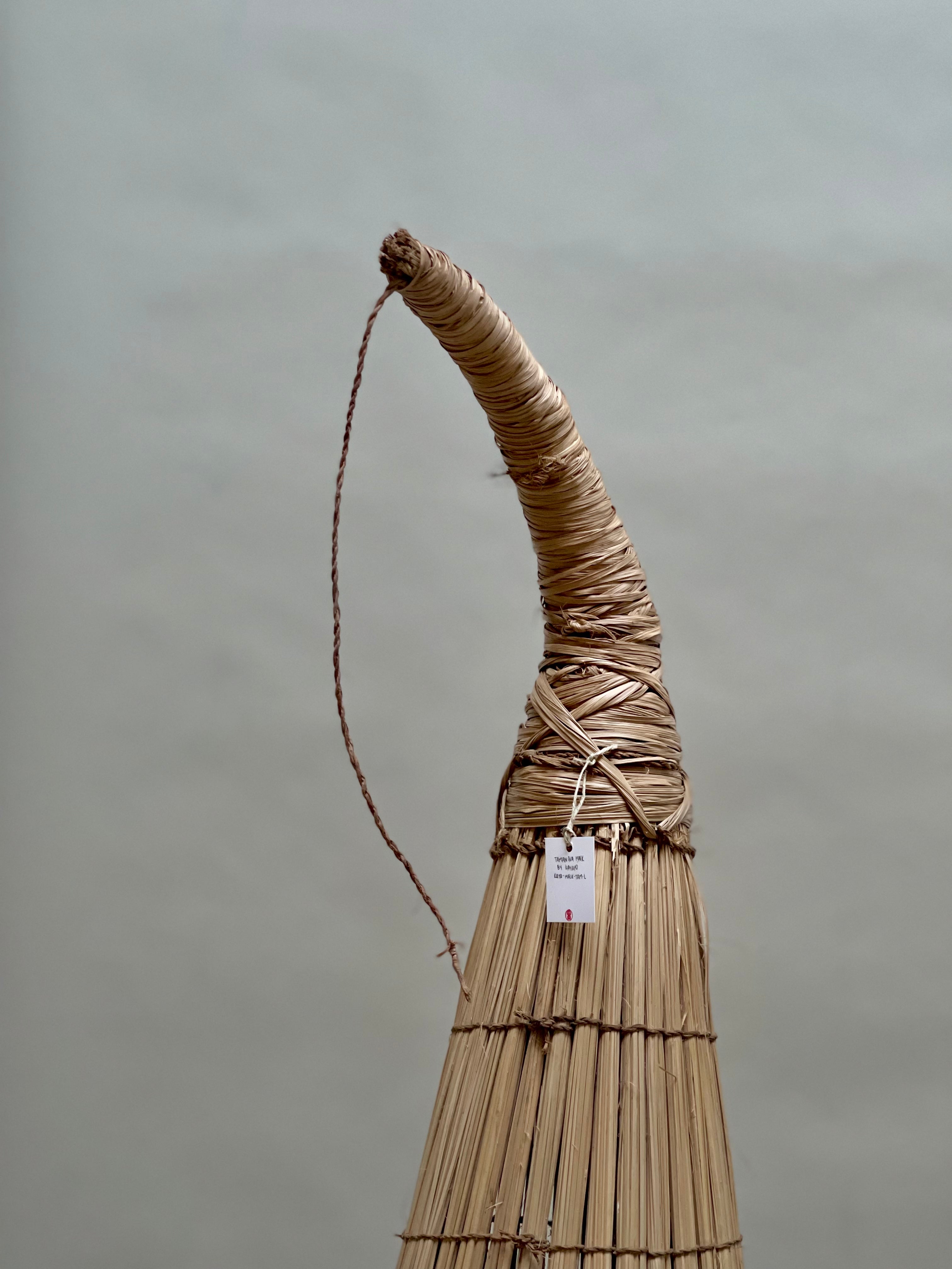 Tamandua Mask by Kayapo – Incausa